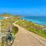 Sinis Peninsula: Mountain bike tour - A Closer Look at the Experience