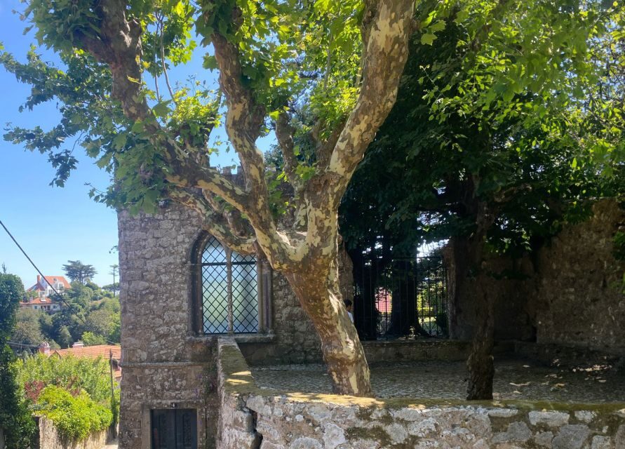 Sintra: Adventure hike around Sintra's most popular castles - What to Expect During the Hike
