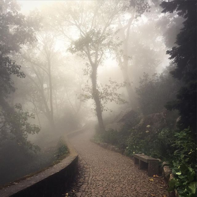 Sintra: Legends and Medieval Stories Private Walking Tour - What’s Included and Practical Details