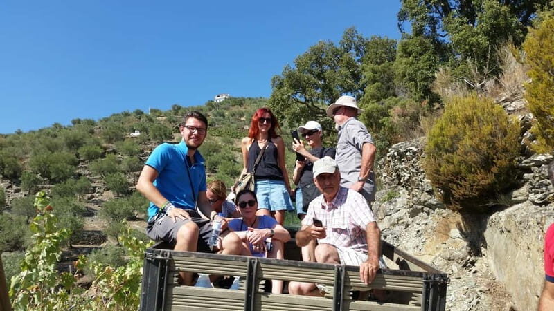 Small Group: Douro Valley Wine Tasting from Porto - What Makes This Tour Stand Out?