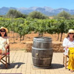 Small group- Exclusive Olive Oil & Wine Tour Mallorca - A Detailed Look at the Experience