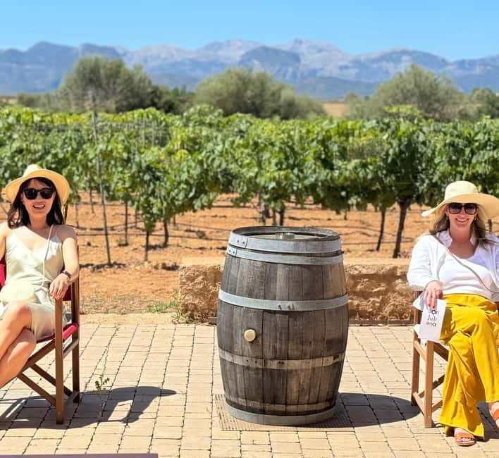 Small group- Exclusive Olive Oil & Wine Tour Mallorca - A Detailed Look at the Experience