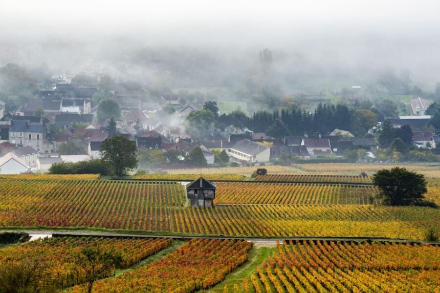 Small group tour Morning in Côte de Beaune - An In-Depth Look at the Experience