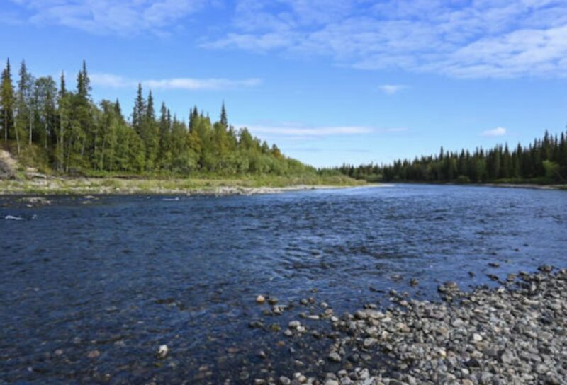 Snake River Full-Day Group Fishing Trip - Key Points