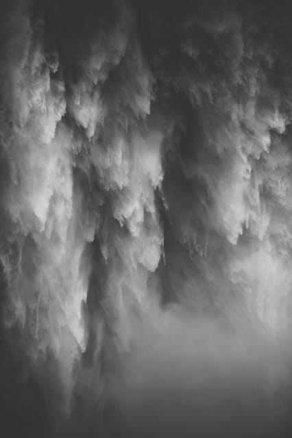Snoqualmie, Twin Falls & Ancient Forest (Transport Included) - Key Points