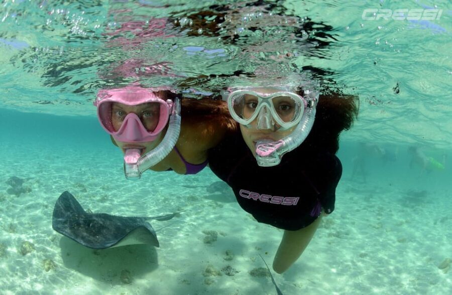 Snorkel tour Why not? - What We Love About This Snorkeling Tour