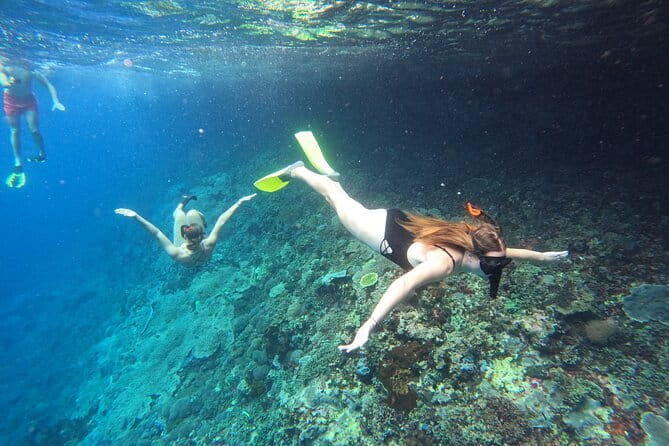 Snorkeling Day Trip to Nusa Lembongan and Nusa Penida - A Practical Look at the Snorkeling Day Trip to Nusa Lembongan and Nusa Penida