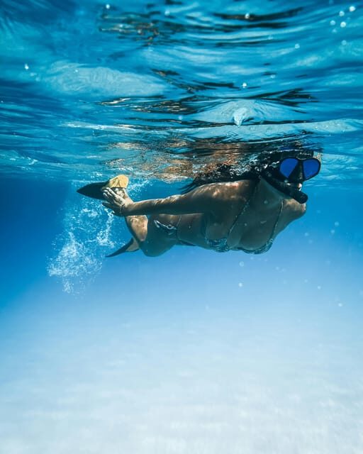 Snorkeling for beginners in crystal clear sea of Halkidiki - Who Will Love This Tour?