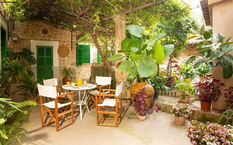 Sóller: Olive Oil Guided Tour and Tasting at Can Det Estate - What It Means for You