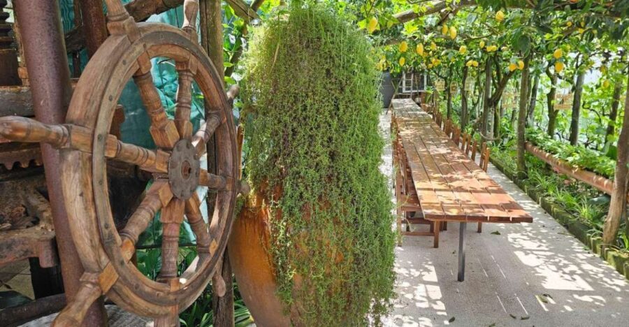 Sorrento Coast: E-Bike & Cooking Experience - Who Will Enjoy This Tour?