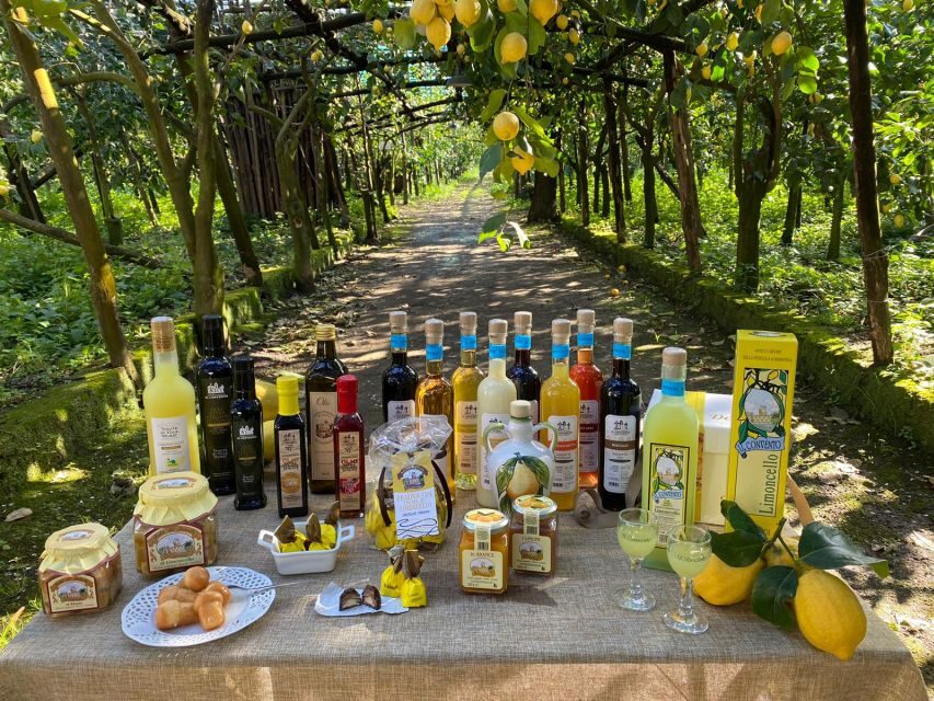 Sorrento: Coast E-Bike Tour with Limoncello Tasting