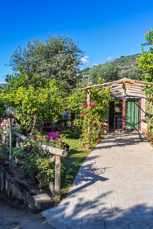 Sorrento Cooking Class: Taste the Tradition feel the Love - Is This Experience Worth the Price?