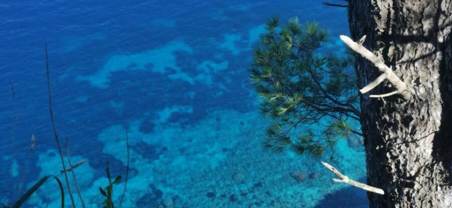 Sorrento Exclusive private boat tour in the land of Mermaids - Why This Tour Is a Great Choice