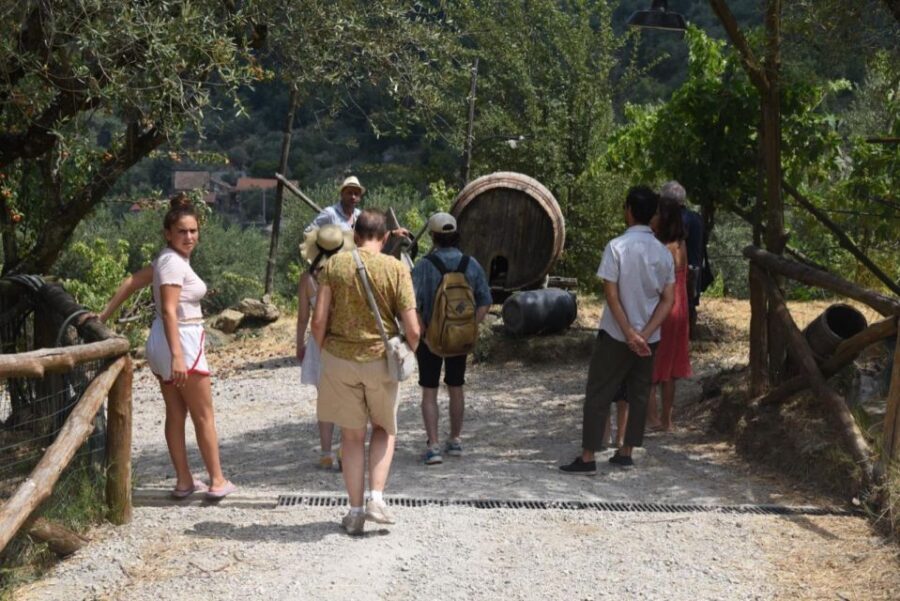 Sorrento Farm Experience: Pizza, Cheese, Wine & More - What Makes This Experience Special?