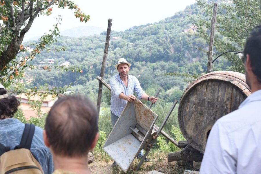 Sorrento: Farm Tour with Cheese Tasting & Pizza Making Class - Price and Value: Is It Worth It?