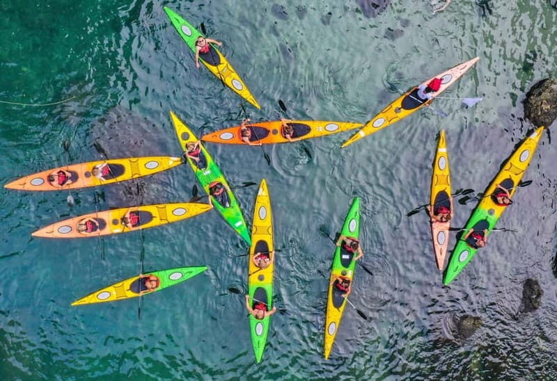 Sorrento: Guided Kayak Tour + Free 1h Paddleboarding - Who Will Love This Experience?