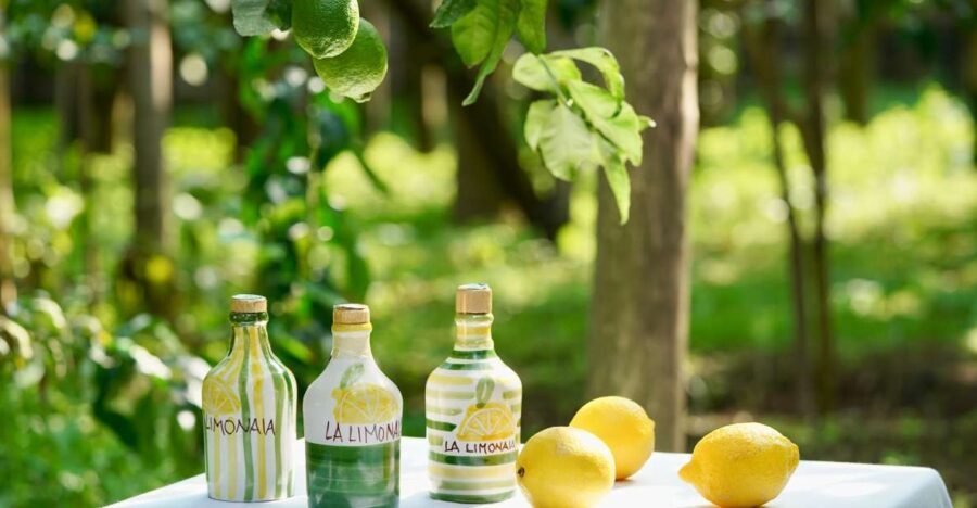 Sorrento Lemon Tour - What to Expect from the Sorrento Lemon Tour