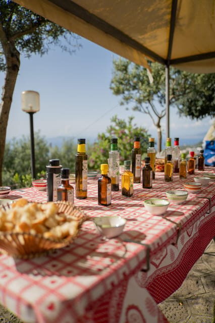 Sorrento: Lemons grove&cheese show with local food tasting - Visiting Il Turuziello Farmhouse