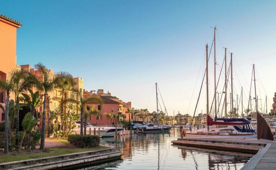 Sotogrande: Dolphin Watching Boat Trip with Drink - What to Expect During the Journey