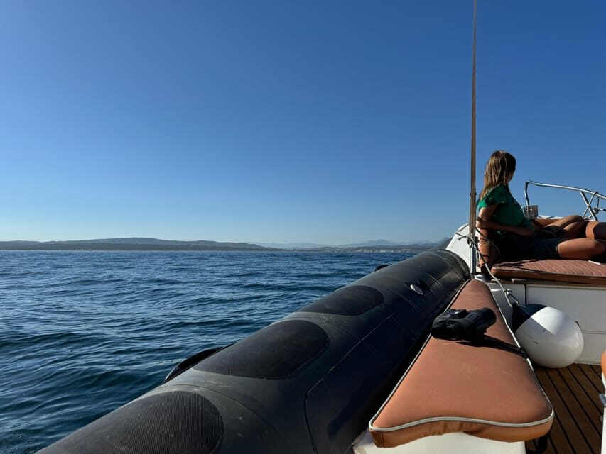 Sotogrande: Dolphin watching experience with expert crew - Why This Tour Works Well