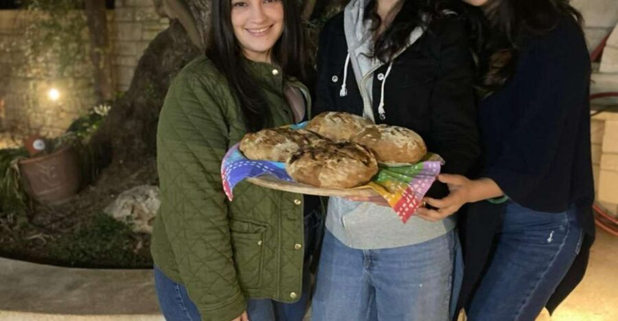 Sourdough Bread Baking Class - Olive Oil Tasting - Learning About Olive Oil and the Local Farm
