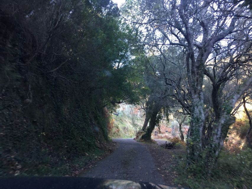 South Corfu Premium 4x4: Villages, Views & Flavours - Detailed Breakdown of the Itinerary