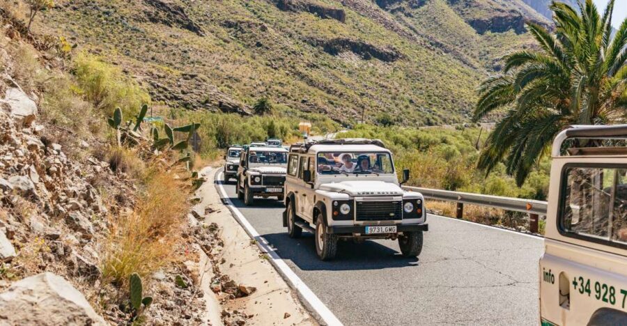 South Gran Canaria: Off-Road Valleys & Villages Jeep Tour - Why This Tour Offers Great Value