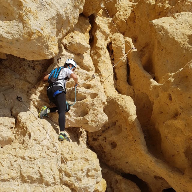 South of France: 4-Hour Philemon Crossing Adventure Course - South of France: 4-Hour Philemon Crossing Adventure Course – A Detailed Review