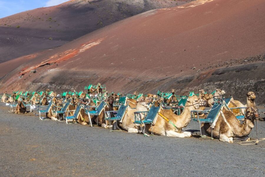 South Tour: Timanfaya National Park - What’s Included and What’s Not
