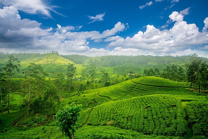 Sri Lanka 7 Days Tour - Key Points