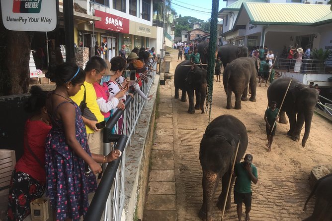 Sri Lanka round tour - The Allure of Sigiriya: Why It’s a Must-Visit