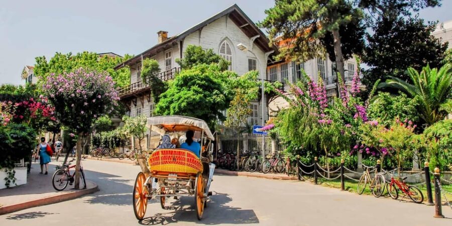 stanbul: Prince Island Full Day Tour - The Value of the Tour