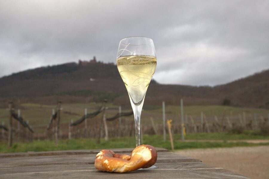 Strasbourg: Alsace Private Tesla Wine Route Tour with Guide - Exploring the Charm of Alsace in Style and Comfort