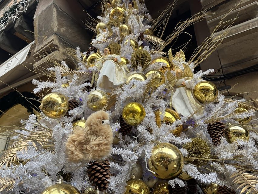 Strasbourg: Christmas Walking Tour with Mulled Wine - Who Will Love This Tour?