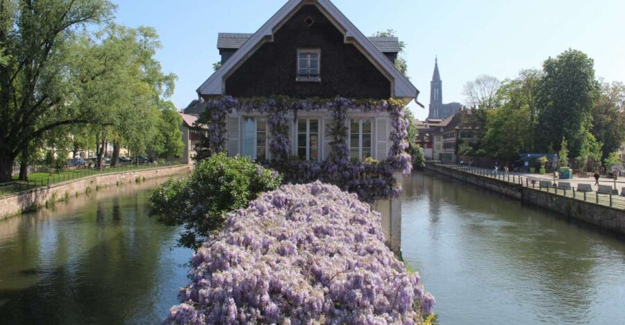 Strasbourg: Walking Tour with Local Guide - Exploring the Ponts Couverts and Petite France