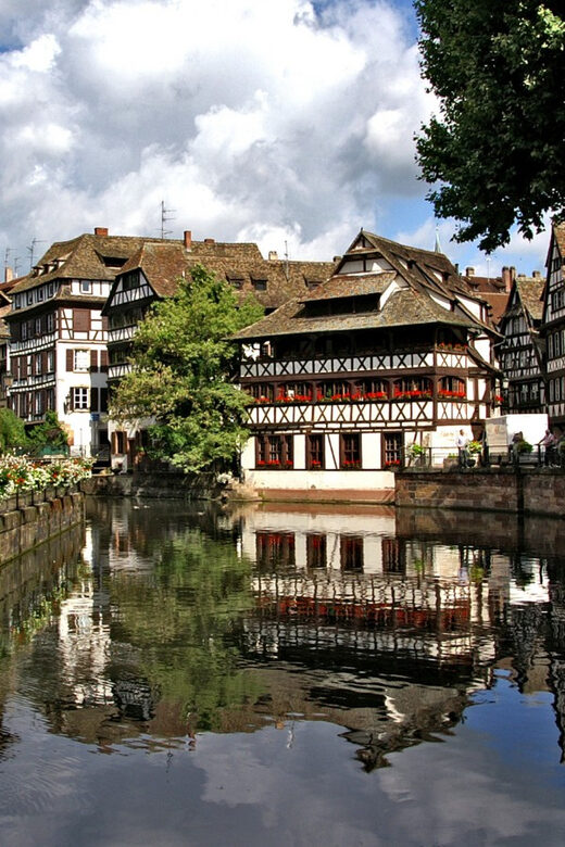 Strasbourg : Wine Tour by bike with a local - The Value of This Tour