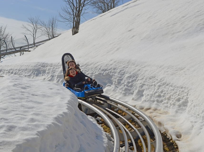 Stresa: Alpyland Alpine Coaster Ride on Mount Mottarone - What to Expect During Your Visit