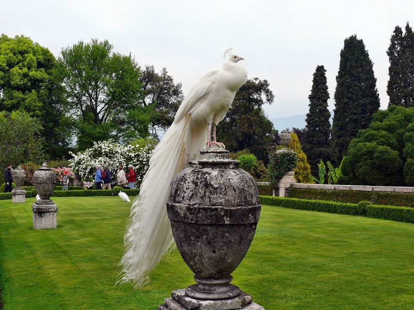 Stresa: Madre & Bella Borromean Islands Boat Trip - What You Need to Know About the Experience