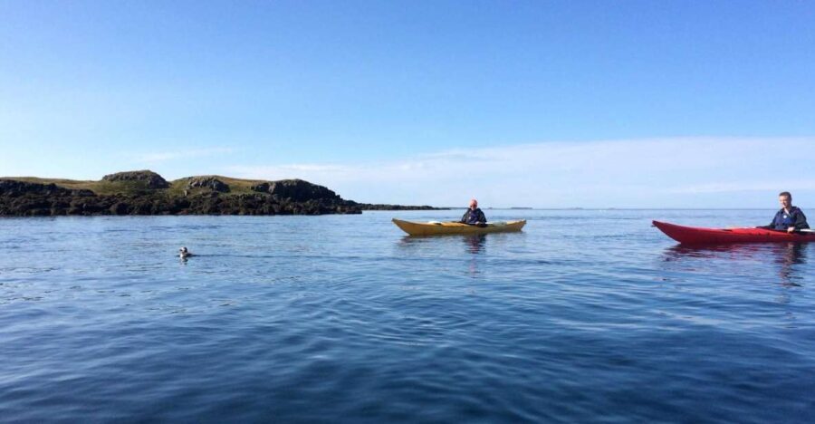 Stykkishólmur: 2-Hour Sea Kayak Tour - The Itinerary: What to Expect on Your Paddle