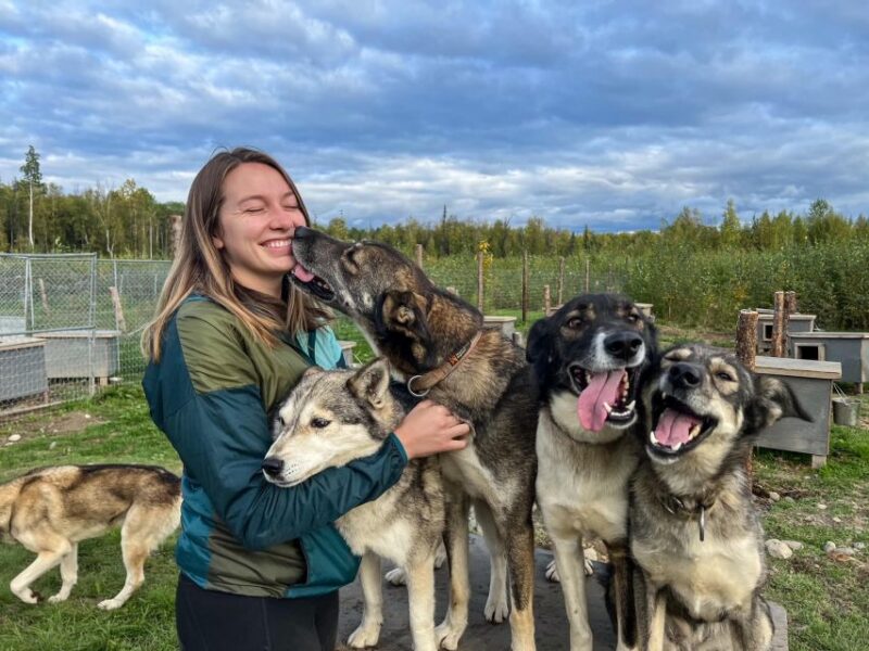 Summer Sled Dog Kennel Tour - Introduction
