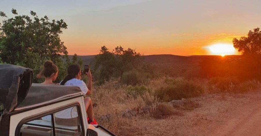 Sunset Safari in the Algarve Mountains - Why We Think This Tour Offers Good Value