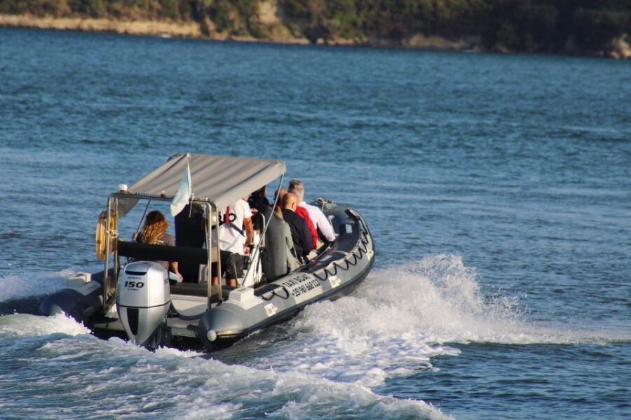 Sunset Speed Boat Tour - What to Expect from the Sunset Speed Boat Tour