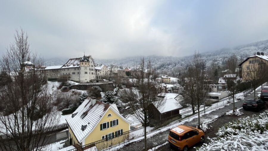 Surprise tour of Bregenz guided by a Local - What Travelers Are Saying