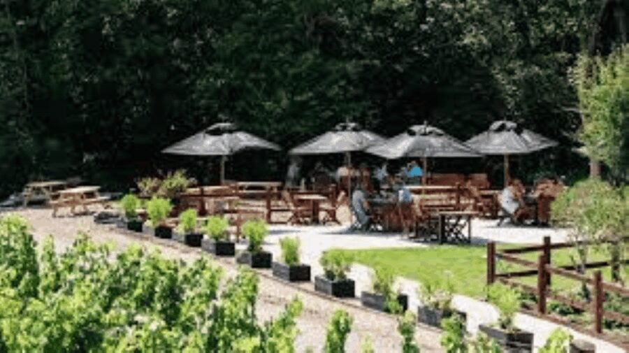 Sussex Vineyard Tour by Minibus - pick up and drop off - The Itinerary Breakdown