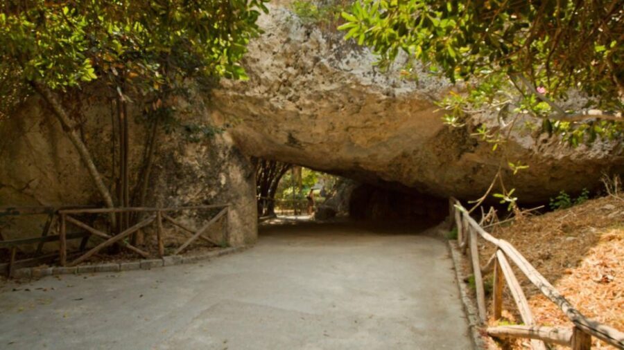 Syracuse: Neapolis and Greek Theater guided tour - The Experience and Atmosphere