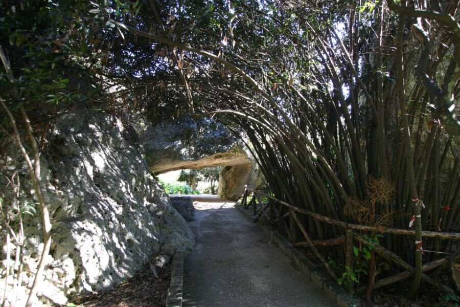 Syracuse: Neapolis Archaeological Park Small Group Tour - The Experience: What It Feels Like to Walk the Ruins