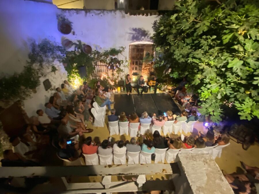 Tablao Flamenco La Puerta Ancha entrance ticket - What to Expect from the Performance