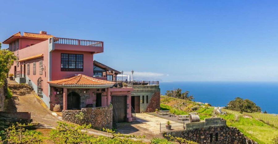 Tacoronte: Guided Winery Tour with Wine and Cheese Tastings - An In-Depth Look at the Winery Tour
