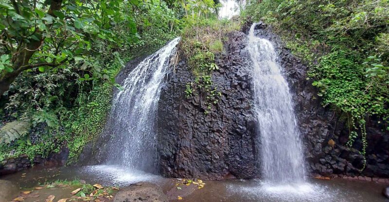 Tahiti Classical Coastal Full Day Private Tour - A Detailed Look at the Tahiti Classical Coastal Full Day Private Tour