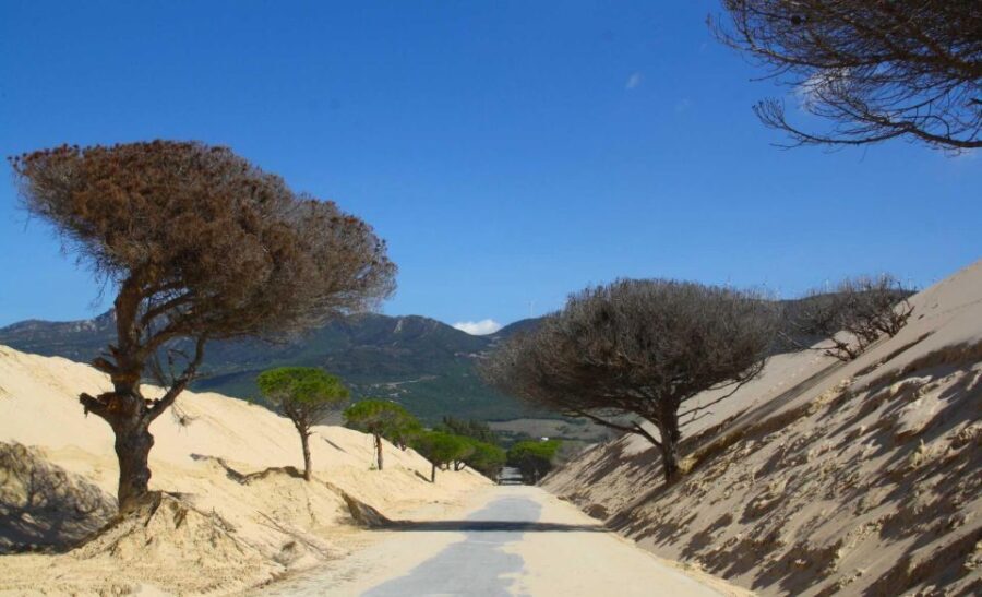 Tarifa: Ebike Rental Ruta del Estrecho - What You Can Expect on the Route